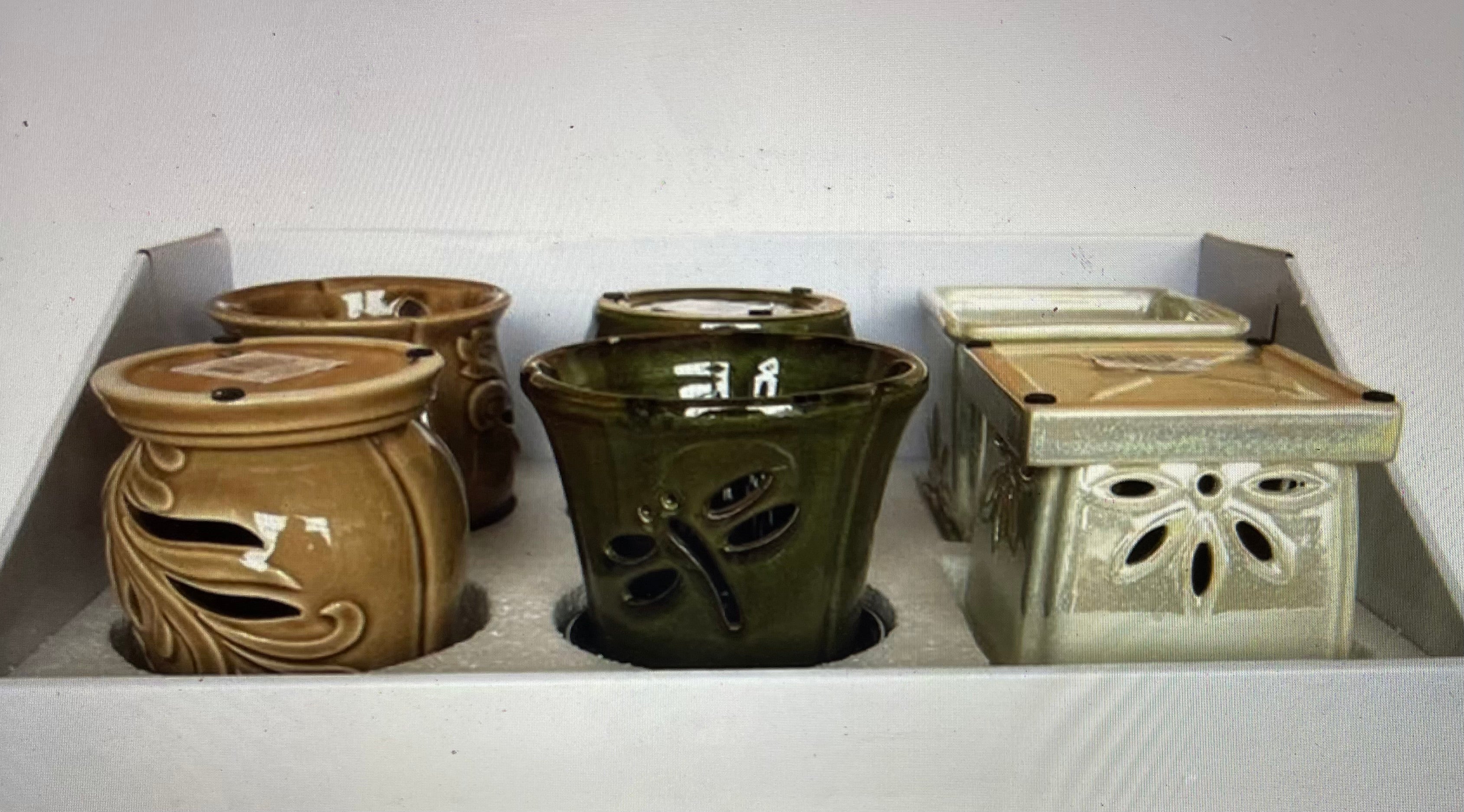 Southern Patio Orchid Pot Assortment | Achin' Back Garden Center Online ...